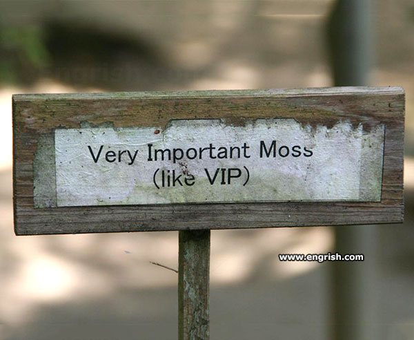 Very Important Moss, seems like I'm using moss to write my code for ...